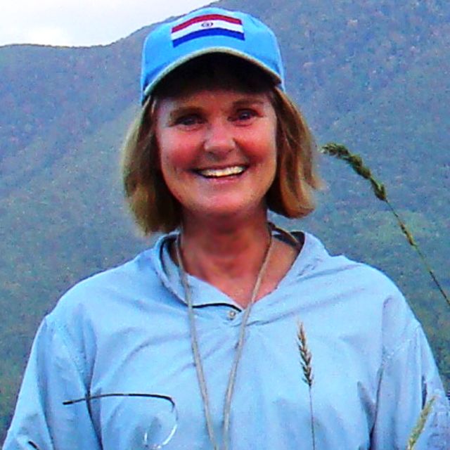 Lights Off. Fireflies On.