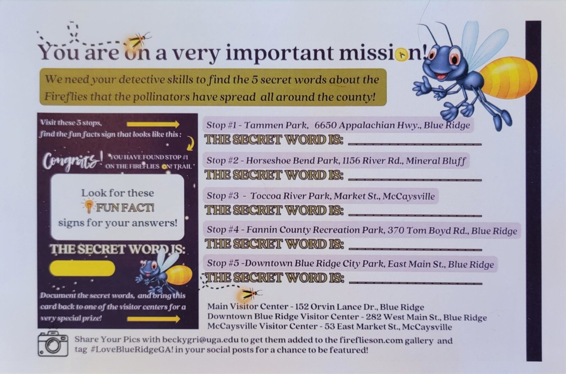 Lights Off. Fireflies On.