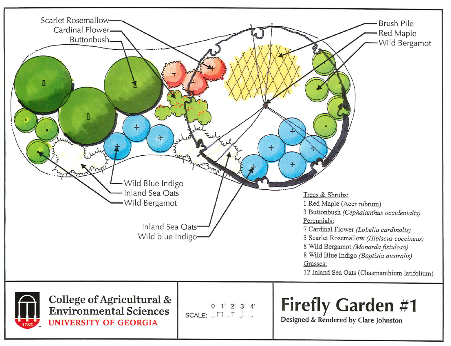 Building a Firefly Garden – Lights Off. Fireflies On.