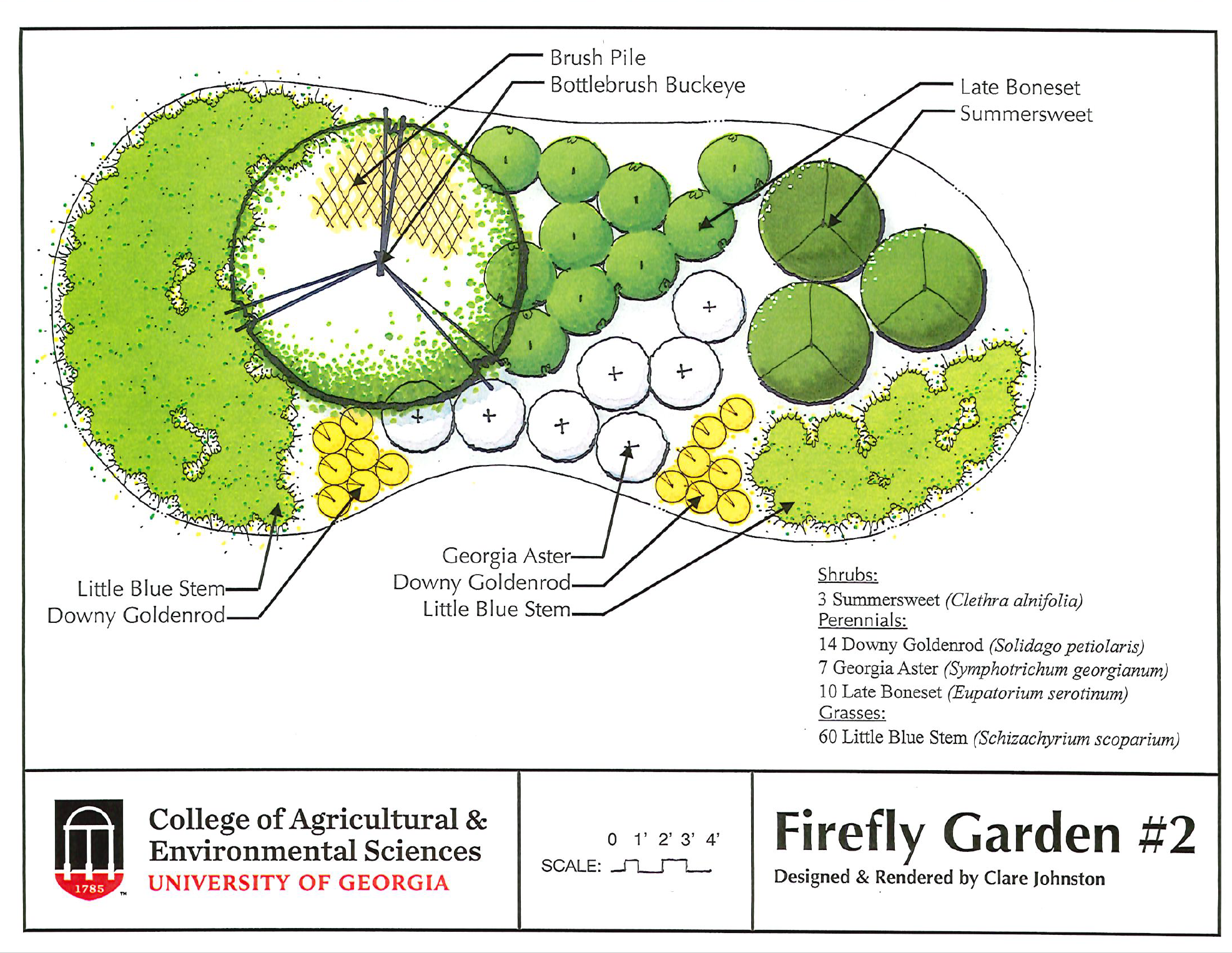 Building a Firefly Garden – Lights Off. Fireflies On.